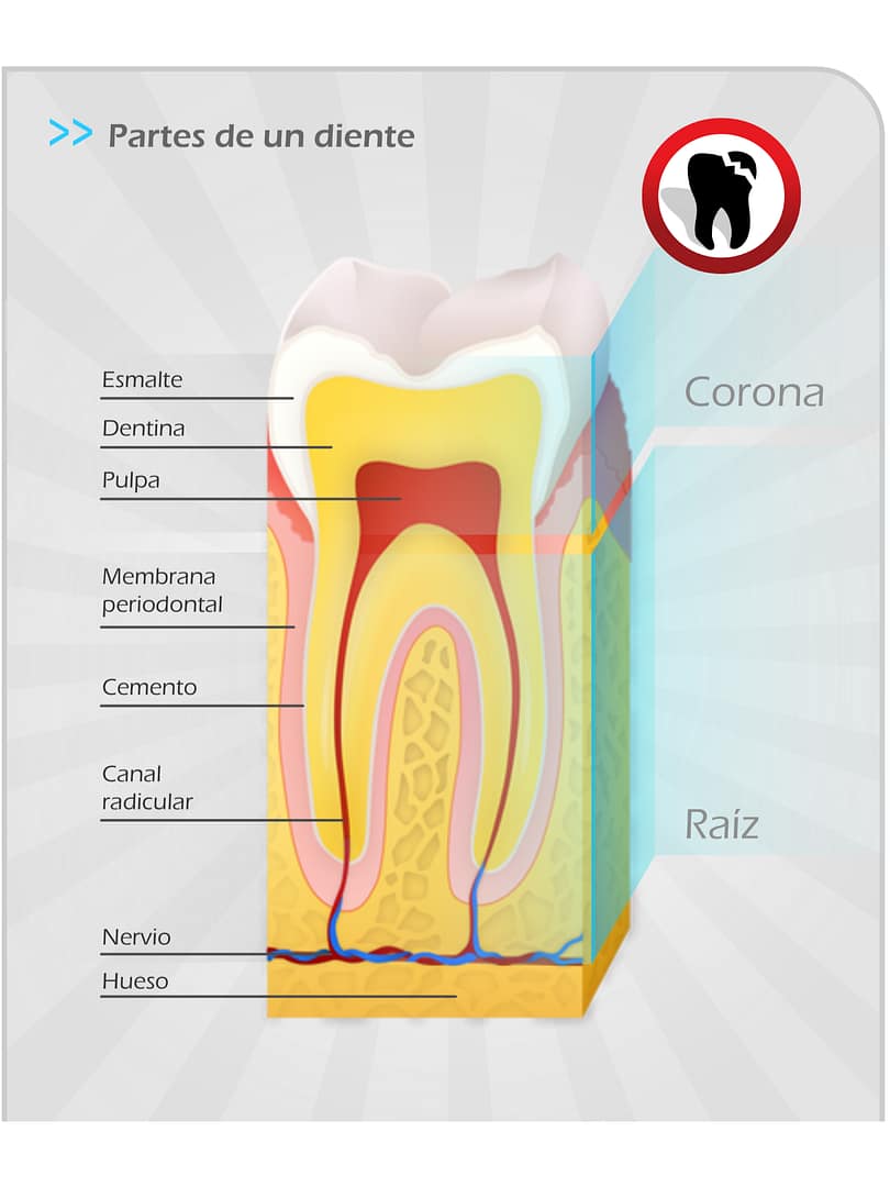 Redefining Your Oral Health: The Secret Lies in Understanding Your ...